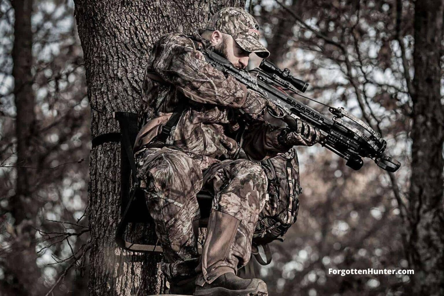 Barnett TS380 Crossbow Review - Out For The Hunt