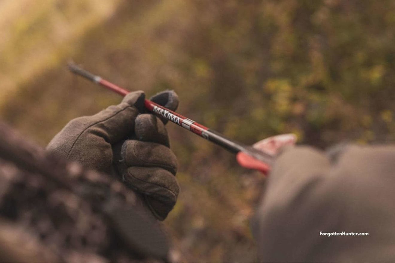 12 Best Crossbow Bolts To Buy In 2025 - Reviews & Beginner's Guide ...