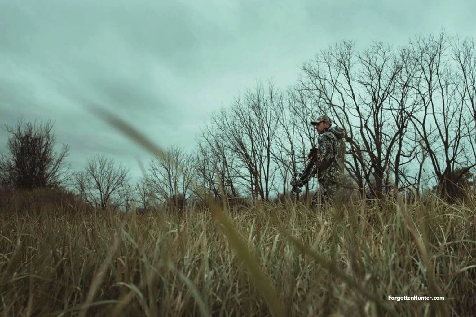 CenterPoint Sniper Elite 385 Review - Fully Adjustable And Affordable ...