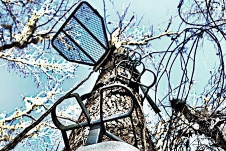 The Best Tree Stands For 2025 (Climbing/Hang On/Ladder) - Buyer's Guide ...