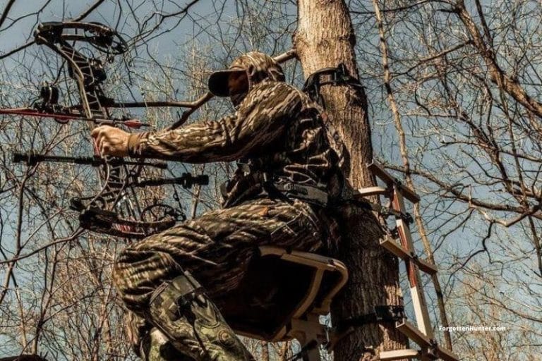The Best Tree Stands For 2025 (Climbing/Hang On/Ladder) - Buyer's Guide ...