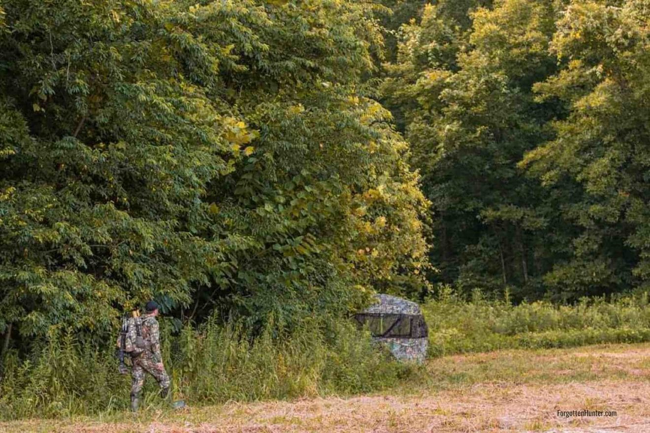 Bear X Impact And Impact CDXV - 420 FPS Crossbow Review - Out For The Hunt