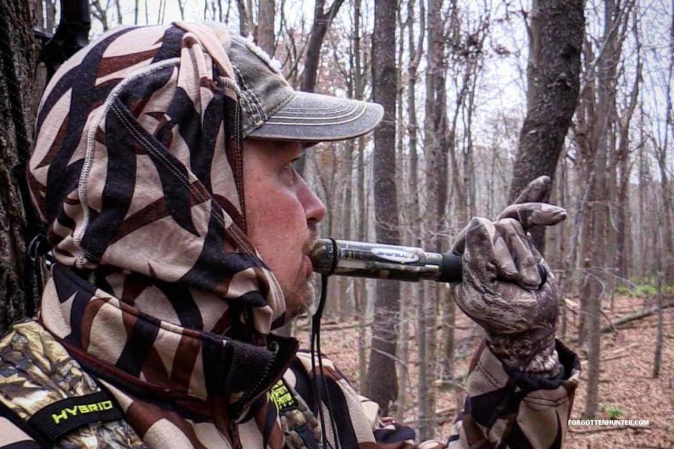 The 6 Best Deer Calls For 2025 – Hands-on Reviews And Buyer’s Guide ...